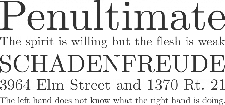 Latin Modern Roman Font Free by GUST e-foundry » Font Squirrel