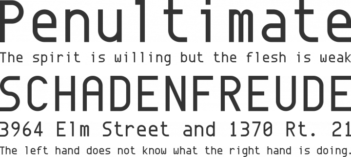 Envy Code R Font Free by Damien Guard | Font Squirrel