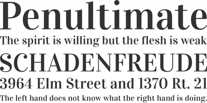 Vidaloka Font Free by Cyreal | Font Squirrel